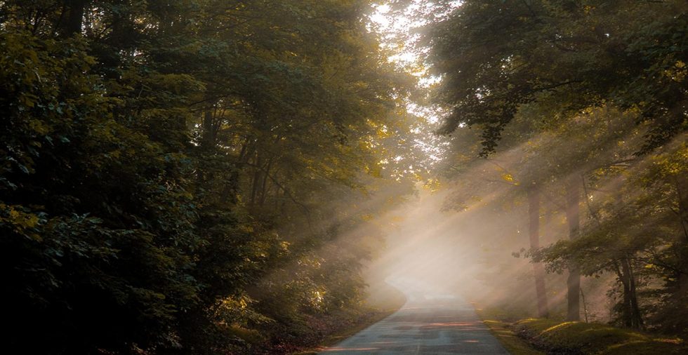 Attractions | Downtown Ellijay